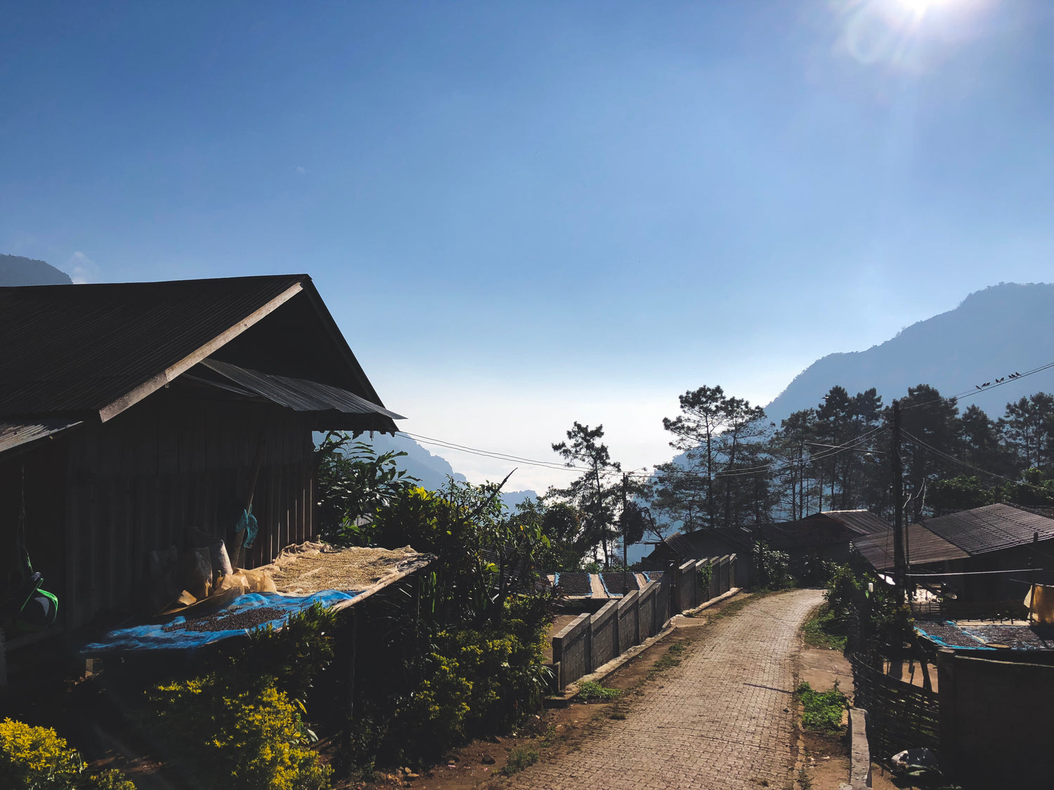 About Us – Chocolate Culture Club